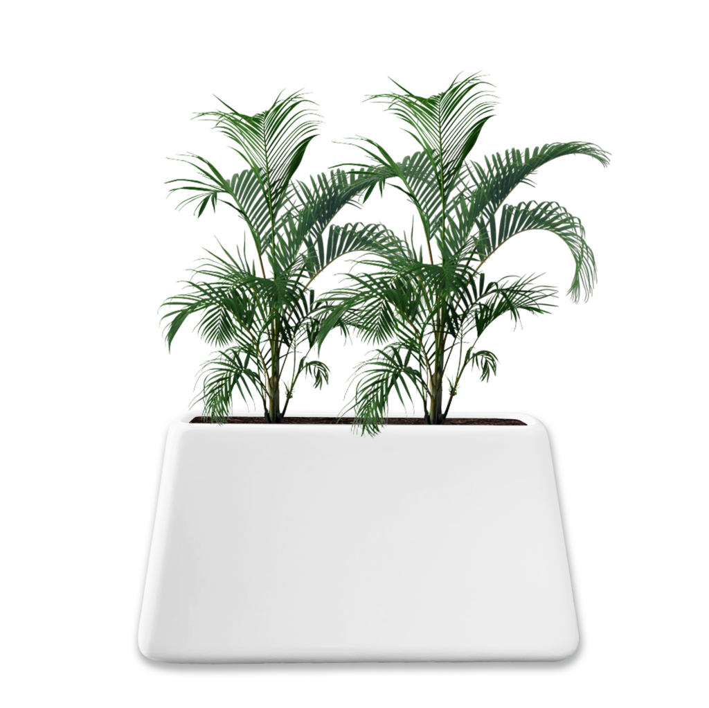 Buy Sephora 650 Pot | Marble & Stones Co. Ltd, Shop online Mauritius